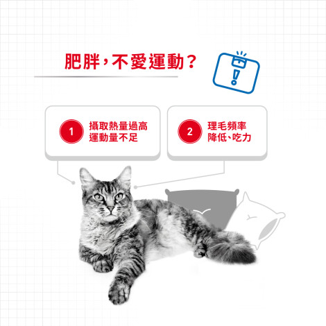 【法國皇家 Royal Canin】(FCN/L40) 皇家體重控制成貓 1.5公斤 (貓飼料)