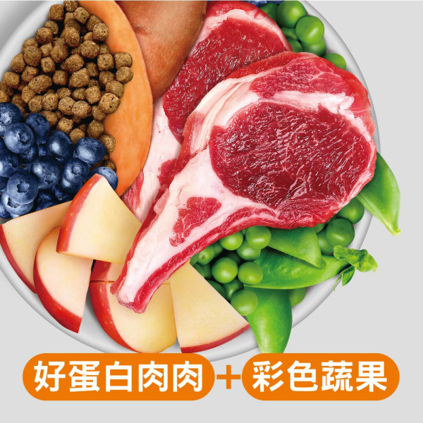 【耐吉斯 Solution】E2 活力羊肉餐 成犬(小顆粒) 4.5磅 (狗飼料)